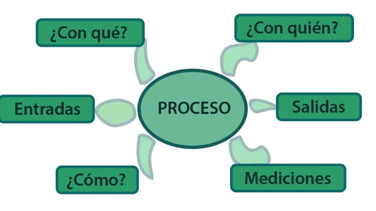 Cómo crear un diagrama de Tortuga: Ejemplos y Pasos