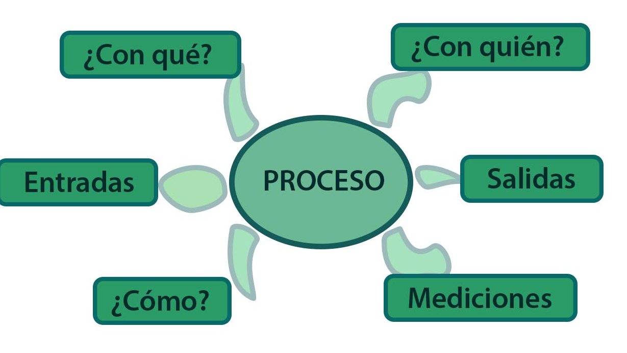 Cómo crear un diagrama de Tortuga: Ejemplos y Pasos