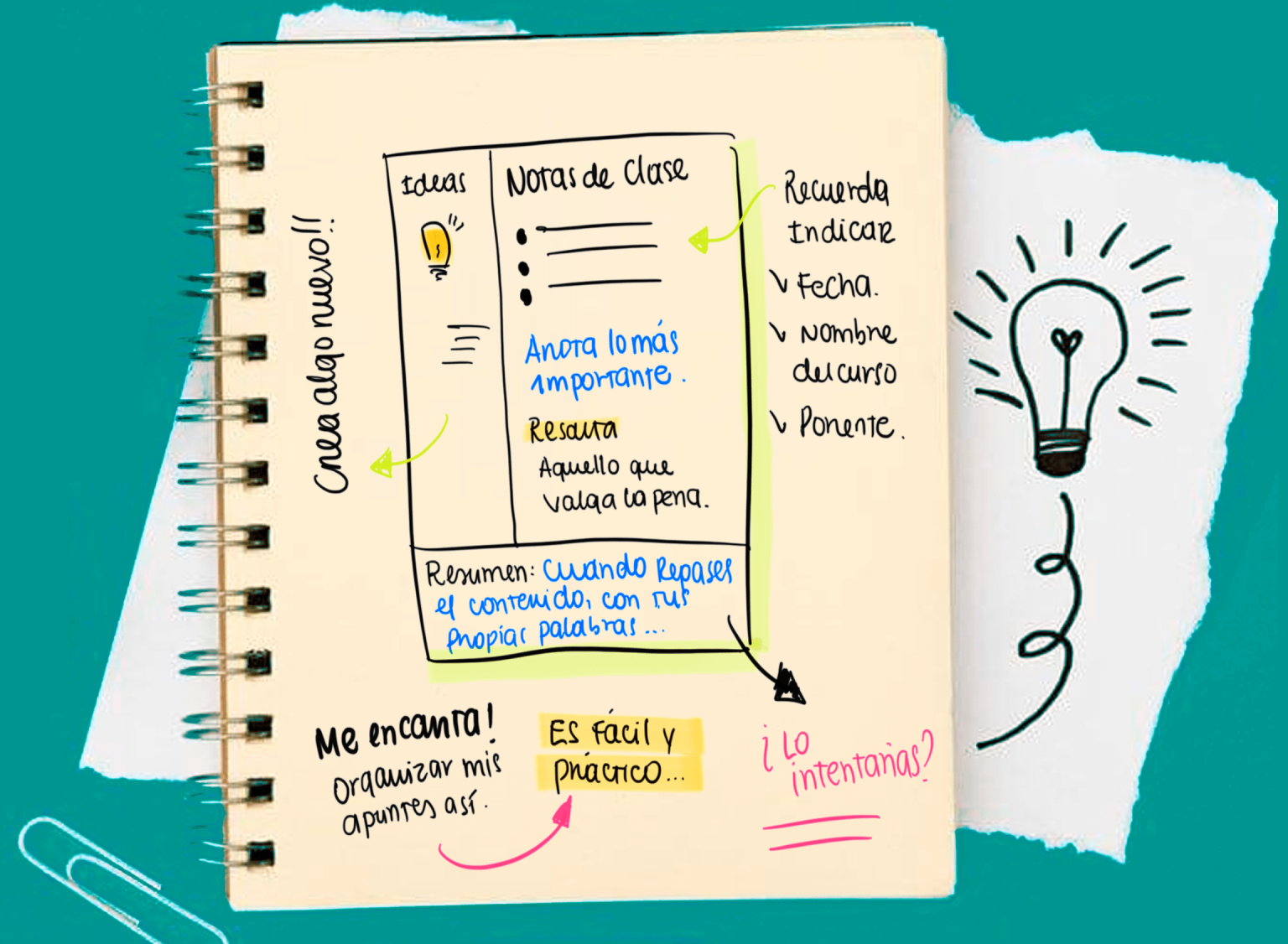 Cómo potenciar tu aprendizaje con el método de Cornell